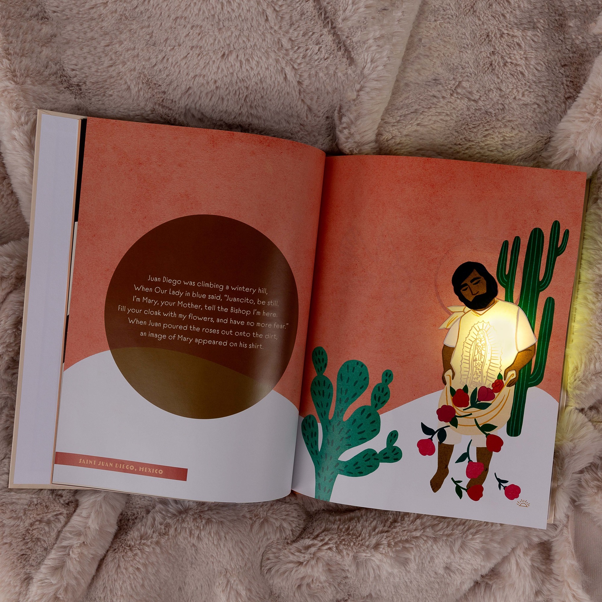 Light of the Saints - A Shine the Light Book | The Catholic Company®