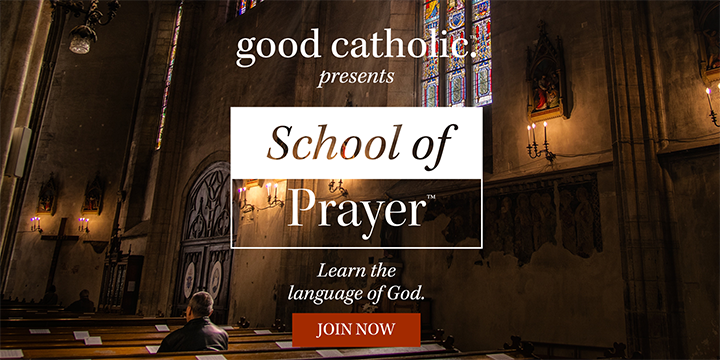 Catholic Store, Religious Store, Catholic Bookstore | The Catholic Company