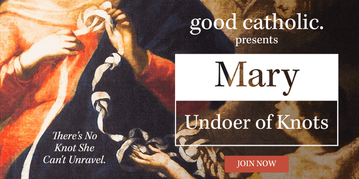 Catholic Store, Religious Store, Catholic Bookstore | The Catholic Company